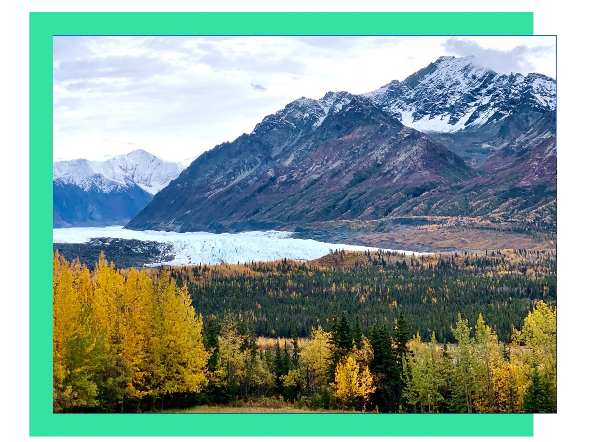 Local Chamber Members - Tok Chambers